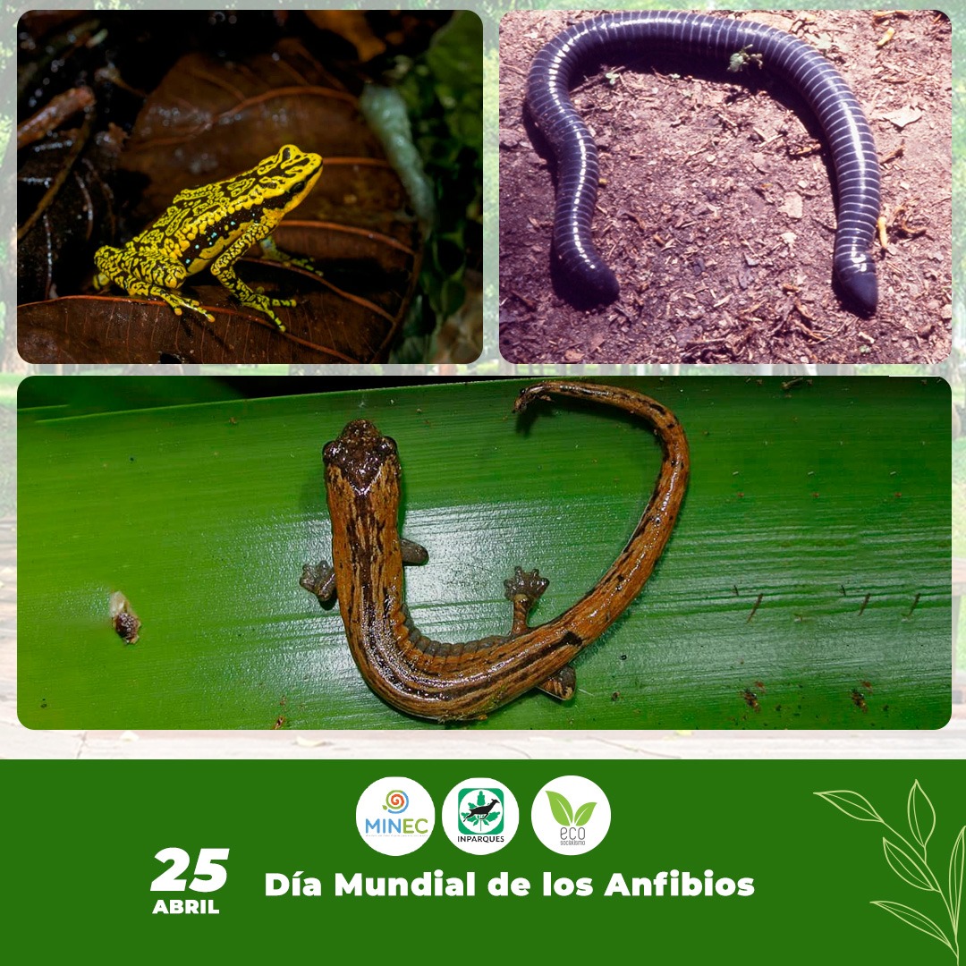 Inparques | Calendario verde