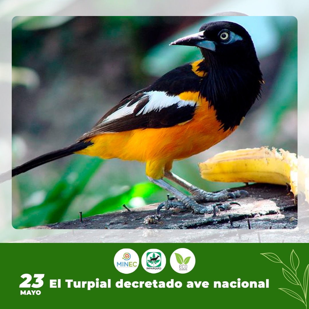 Inparques | Calendario verde