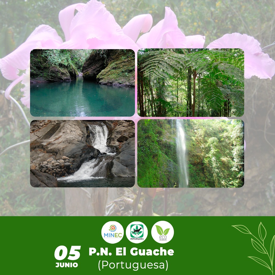 Inparques | Calendario verde