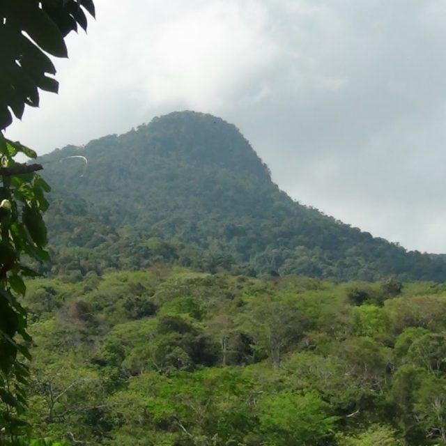Noticias de Anzoategui: LA MONTAÑA DE SORTE DONDE VIVE LA REINA MARIA ...